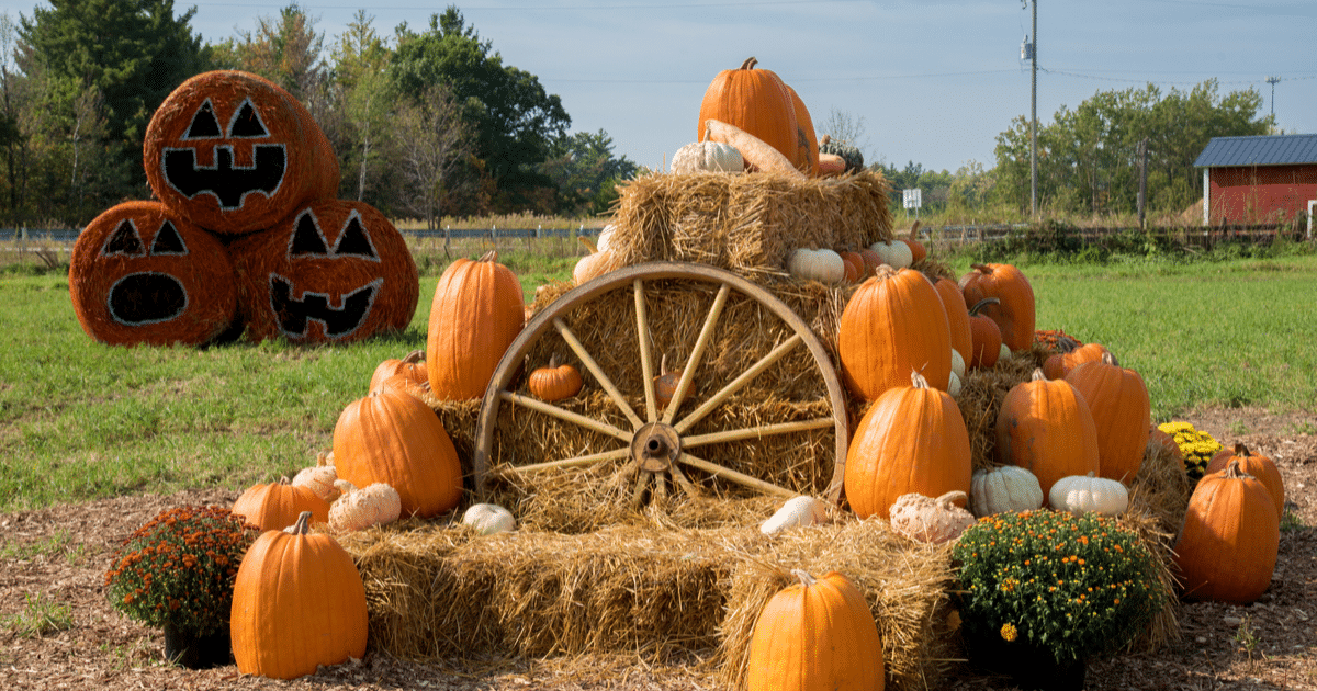 Fall/Fright Fest | Maxwell Air Force Base